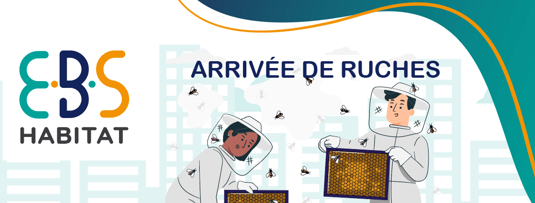 Installation de ruches - EBS Habitat